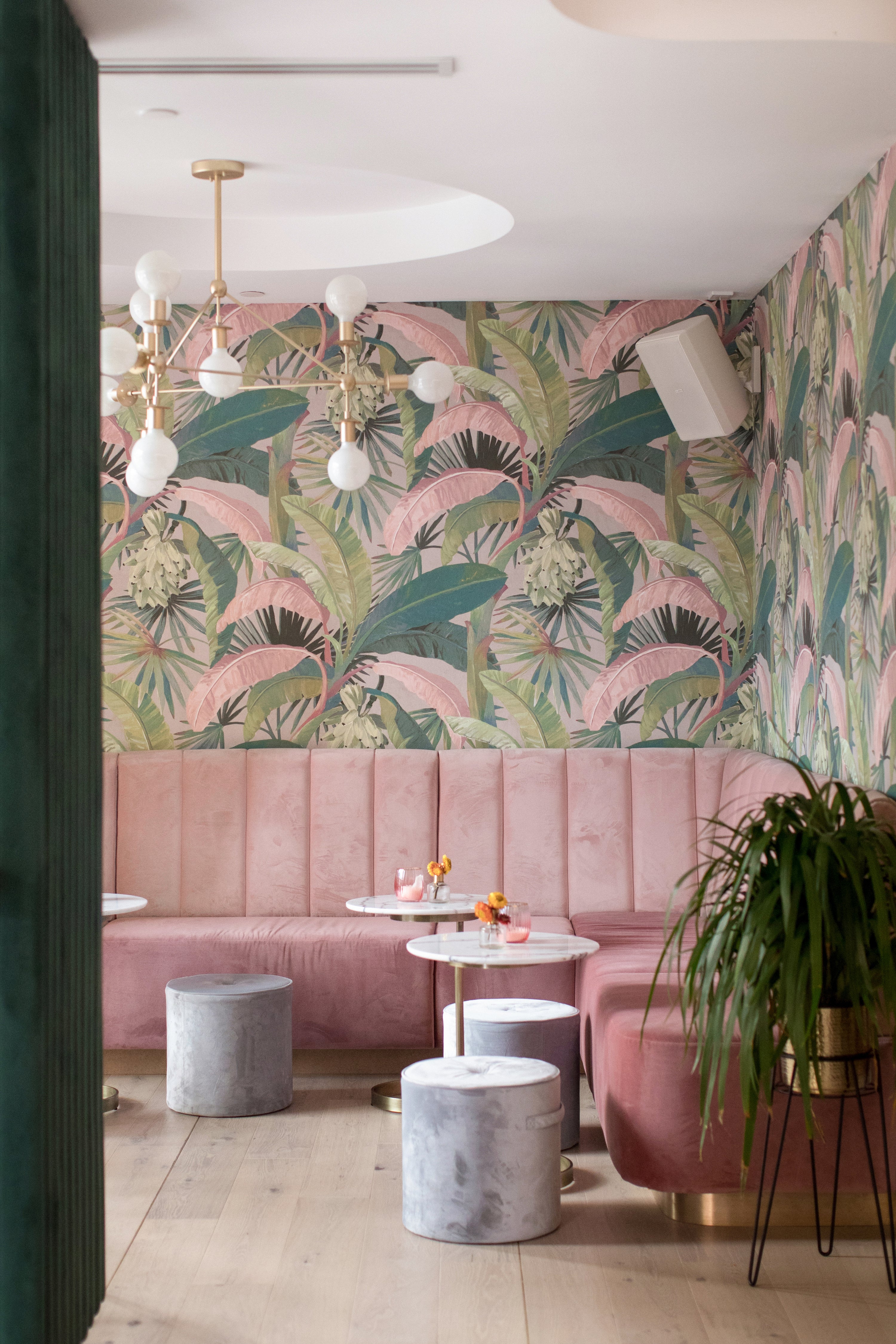 About – Maybe Sammy Cocktails