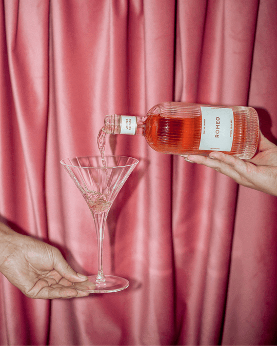 Maybe Sammy Cocktails | Ready-To-Pour Bottled Cocktails